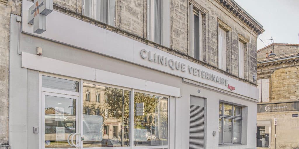 Qui sommes-nous ? | Groupe Argos Vétérinaire