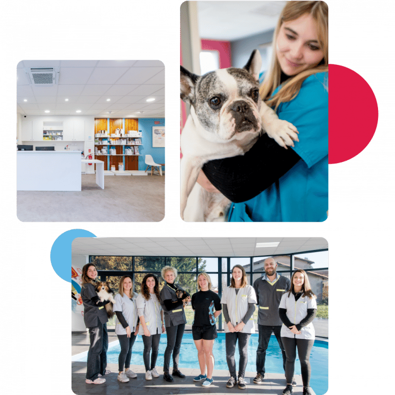 Qui sommes-nous ? | Groupe Argos Vétérinaire